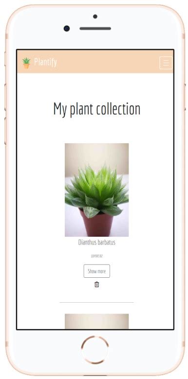 GitHub Manczakola Plantify Plant Photo Recognition Application