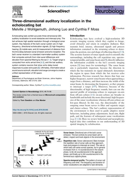 Three Dimensional Auditory Localization In The Echolocating Pdf Auditory System Hearing
