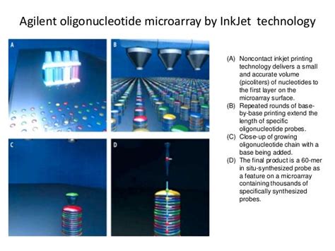 Dna Microarray Final Ppt