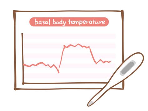 Body Temperature Diagram