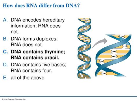 3 Carbon And The Molecular Diversity Of Life Ppt Download