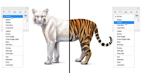 A To Z Of Sketchbook Pro Hacks Tips And Tricks To Drawing Envato Tuts