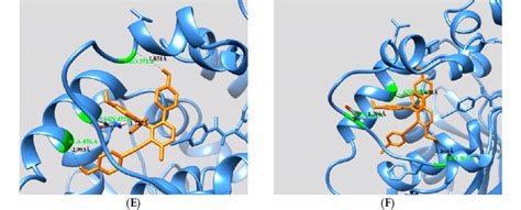Binding Pose At The Lowest Energy Between Compounds 1 3 And Free Enzyme Download Scientific