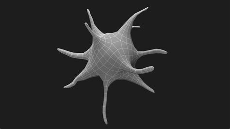 Platelet 3d Turbosquid 1972135