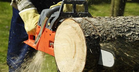 Stihl Chainsaw Trial Battery Electric Vs Petrol Consumer Nz