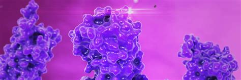 Measuring Strong To Weak Binding Interactions With Alphalisa Revvity
