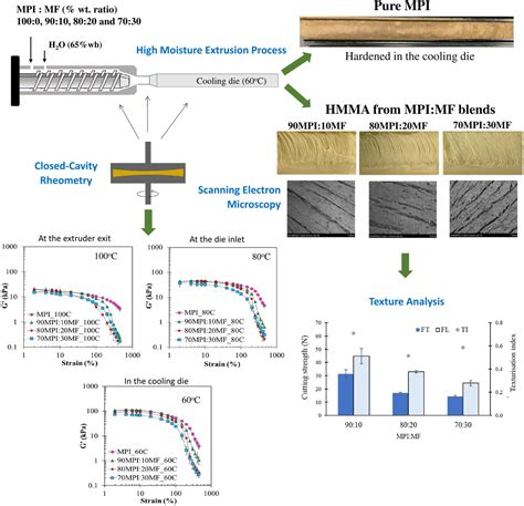 High Moisture Extrusion Of Meat Analogues Using Mung Bean Vigna Radiata L Protein And Flour