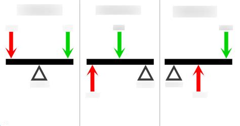 Science First Second And Third Class Levers Diagram Diagram Quizlet