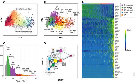 current best practices in single‐cell rna‐seq analysis a tutorial molecular systems biology