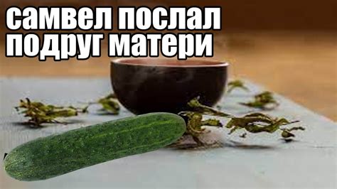 САМВЕЛ АДАМЯН ПОСЛАЛ МАМКИНЫХ ПОДРУГ НА... ЧАЙ С ОГУРЦАМИ ДЮЖЕ ВКУСНО ...