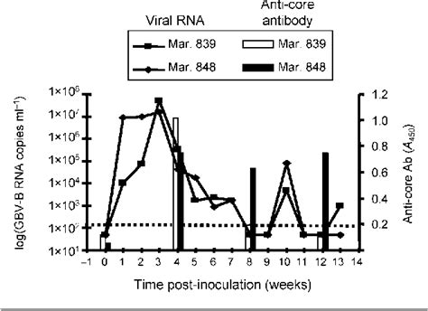 Figure 1 From A Chimeric Gb Virus B Encoding The Hepatitis C Virus Hypervariable Region 1 Is