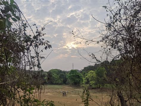 Aarey Colony Photo Dump Rmumbai