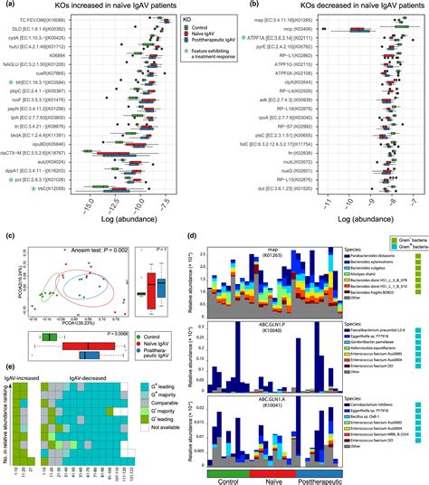 Metagenomic Profiling Reveals Dominance Of Gram‐positive Bacteria In