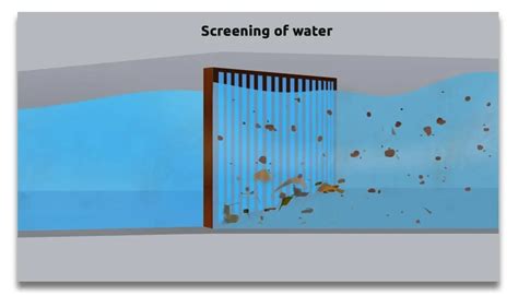A Comprehensive Exploration Of The 10 Essential Stages In Water