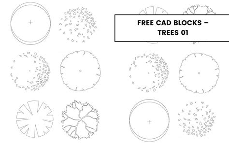 Tree Plan Autocad