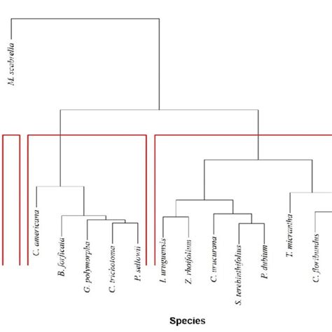 Dendrogram Of The Cluster Analysis Hierarchical Euclidian Distance