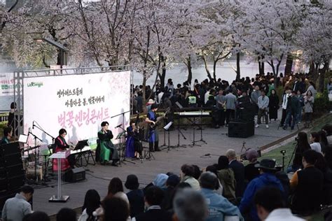 송파구 석촌호수서 2025 호수벚꽃축제 4월 2~6일 개최