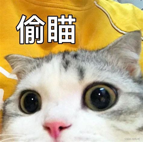 Unity初学总结（一）：输入控制unity键盘控制按钮 Csdn博客