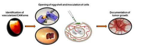 Callforreading Recommendations Free Methods Article Protocols