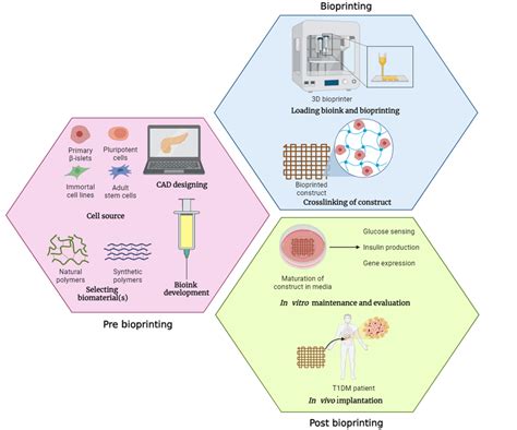 Schematic Illustration Of The Application Of 3d Bioprinting Technology