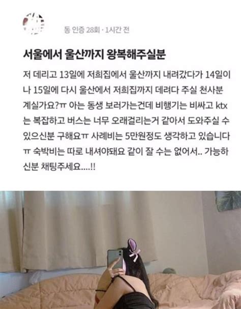 꿀팁 서울에서 울산까지 왕복해줄 사람 찾는 여자 Facebook