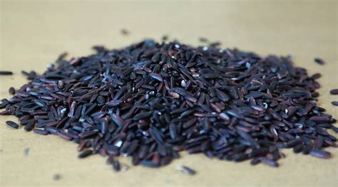 Health & Wellness News | Black Rice Health Benefits: Here Are Five ...