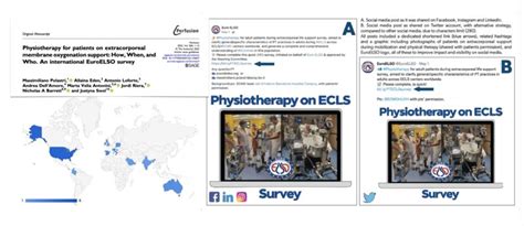 Physiotherapy For Patients On Ecmo Support Could Be Feasible And Safe