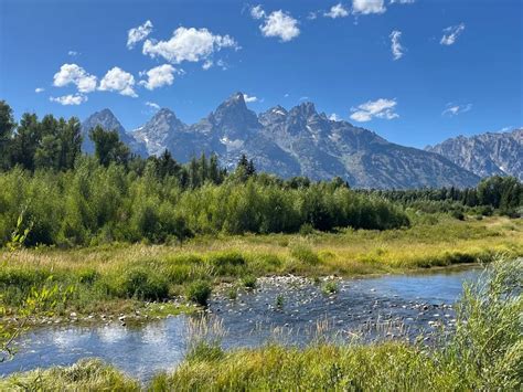 The Founding Of Grand Teton National Park Lodgepole Pines Retreat