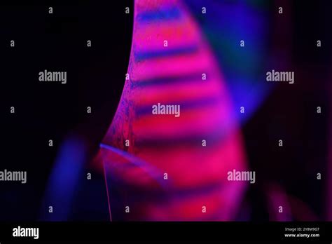 Red And Purple Fluid Pattern Fluid Background Plasma Fluid Movement