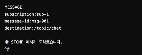 Stomp와 웹소켓을 활용한 실시간 메시징