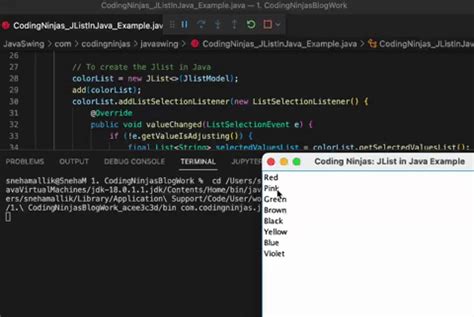 JList In Java Coding Ninjas