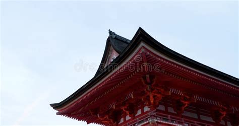 The Best View In Kyoto Stock Video Video Of Forest 299386331