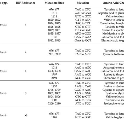 Detection Of Mutations In Rpob Gene Associated With Rifampicin Download Scientific Diagram