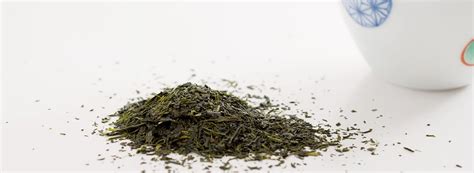 Green Tea Umami Information Center