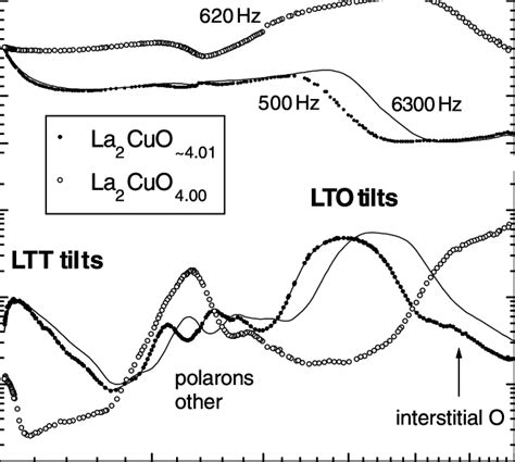 Real And Imaginary Acoustic Absorption Parts Of The Relative Download Scientific Diagram