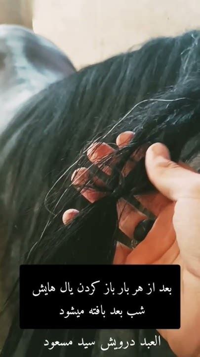 اسبی که یکی از اجنه یال هایش را می بافد Youtube