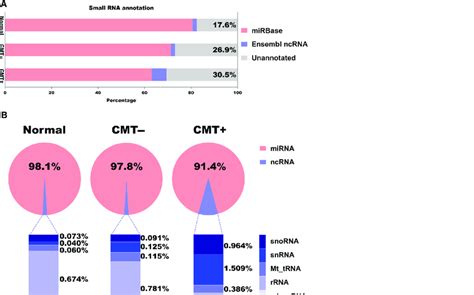 small rna annotation analysis a portions of the annotated and