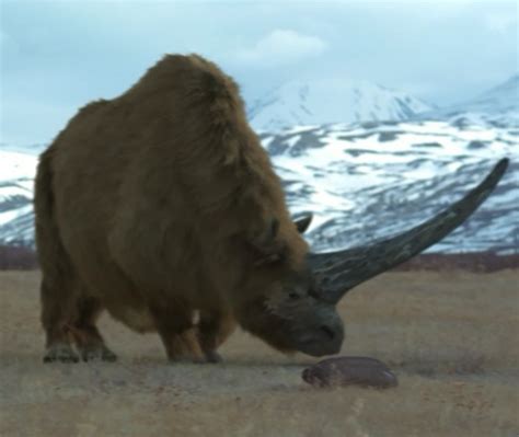 Elasmotherium Prehistoric Park Wiki Wikia
