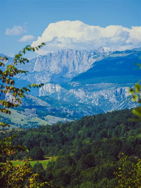 Photographie De Paysage De Montagne Et De Forêt Photo Photo La Nature Gratuite Sur Unsplash