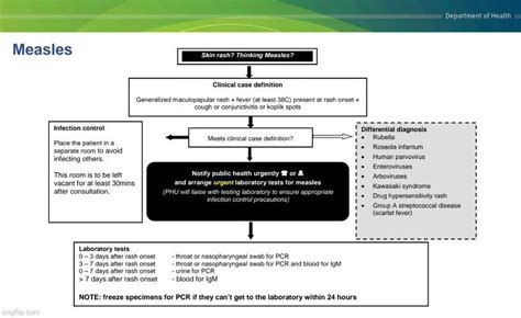 Measles Magic Viroliegy