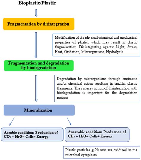 Biodegradation Of Hemicellulose Cellulose Starch Based Bioplastics And