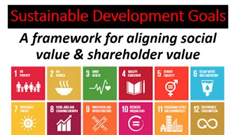 Csr And Shared Value Partnerships For The Sdgs