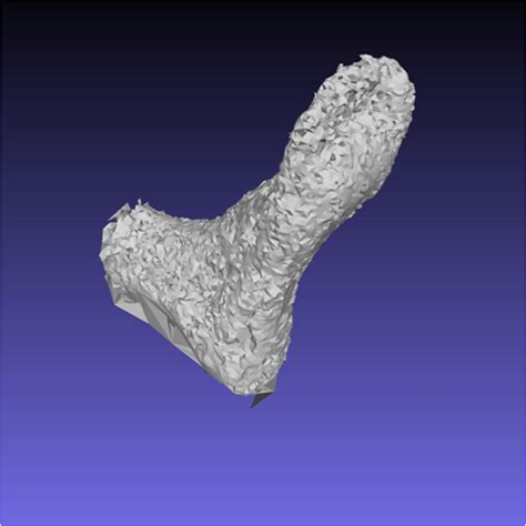 demonstration of the original and filtering mesh a original mesh