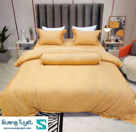 Bộ Chăn Ga Gối Lụa Silk Sky 225