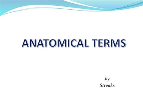 Basic Anatomical Terminology Ppt