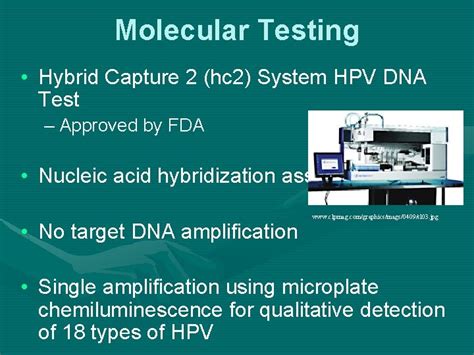The Hybrid Capture 2 Hc 2 System Hpv
