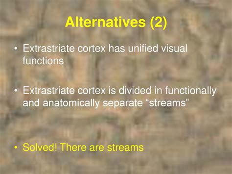 Object Vision And Spatial Vision Two Cortical Pathways Ppt Download