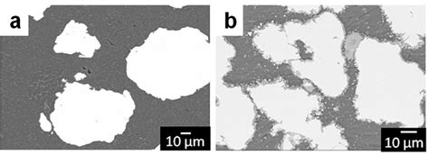 Microstructure Of Composites Obtained From Al 2024 40 Vol Ni60nb40 Download Scientific