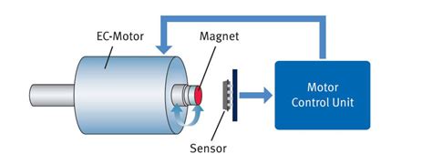P Field Oriented Control
