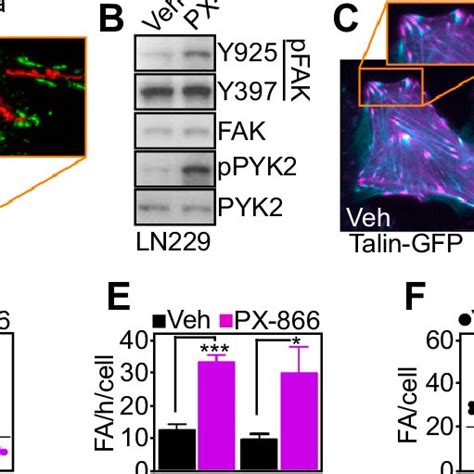 Figure S4 An Example Of Bioretention Planters Serving Roads And Other